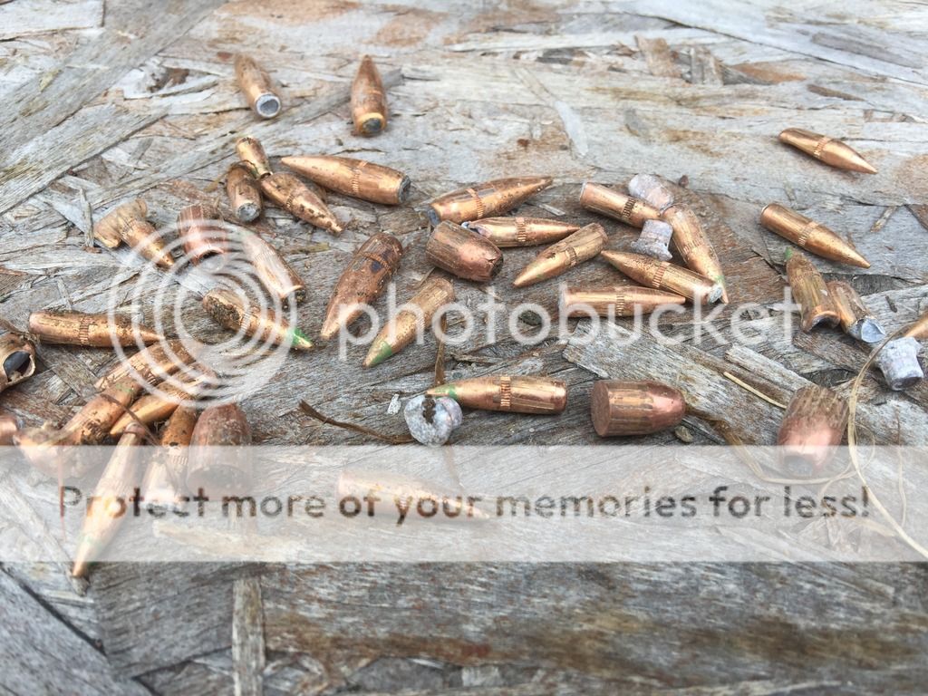 Perfect bullets - AR15.COM