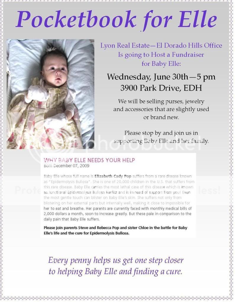 Lyon Real Estate El Dorado Hills Holds Fundraiser for Baby Elle