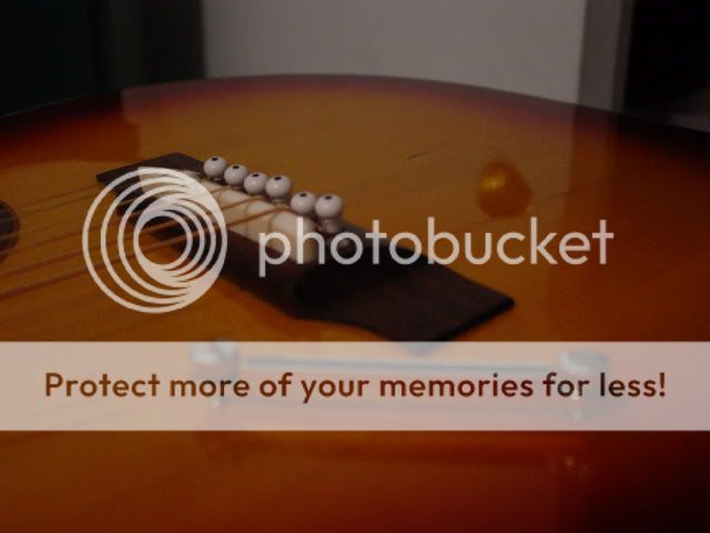 Lyle W-460 - Acoustic Guitars - Harmony Central