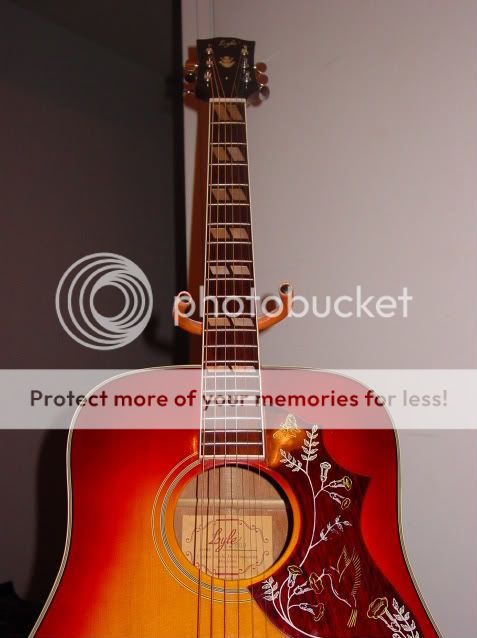 Lyle W-460 - Acoustic Guitars - Harmony Central