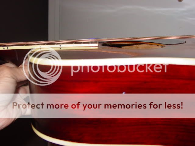 Lyle W-460 - Acoustic Guitars - Harmony Central