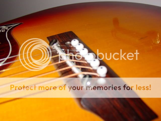 Lyle W-460 - Acoustic Guitars - Harmony Central